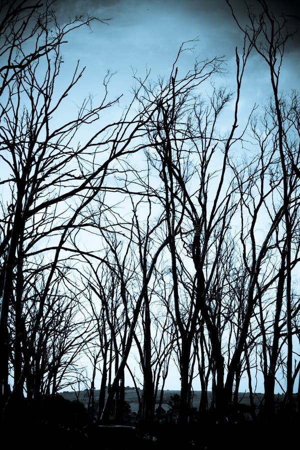 3,926 Spooky Fall Scenery Stock Photos - Free & Royalty-Free Stock ...