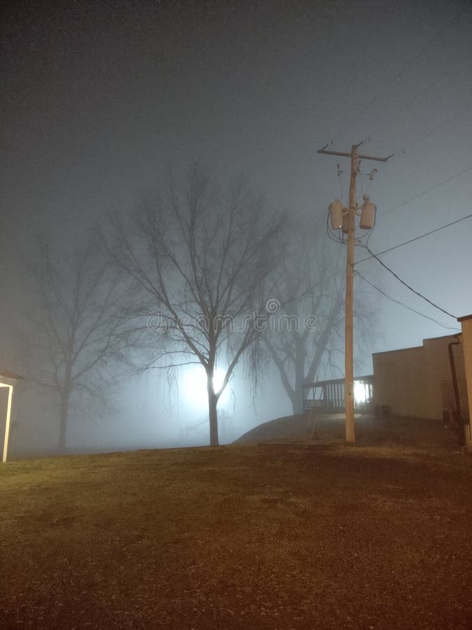 Spooky Treescape Stock Photos - Free & Royalty-Free Stock Photos from ...