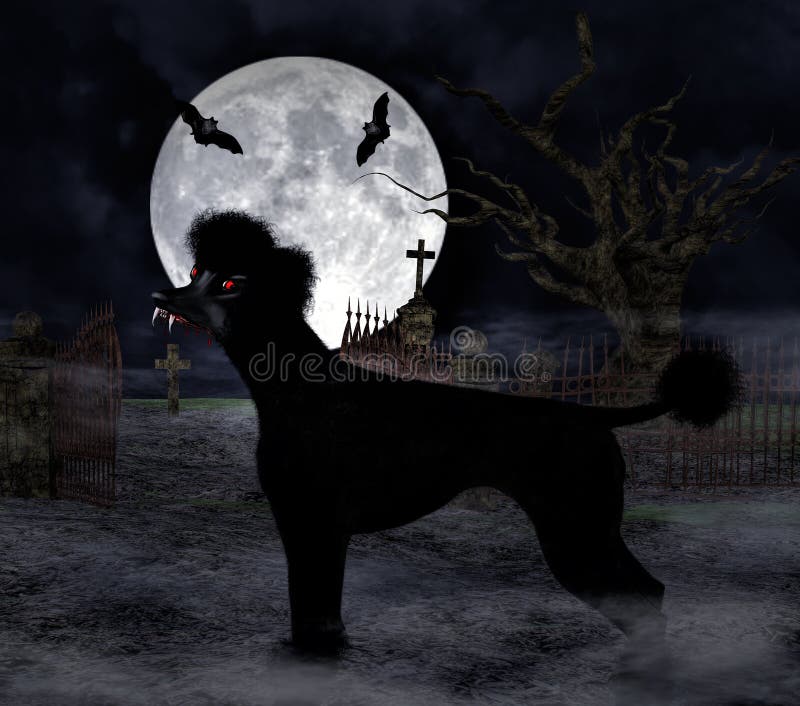 Spooky Vampire Poodle in Graveyard Stock Illustration - Illustration of ...
