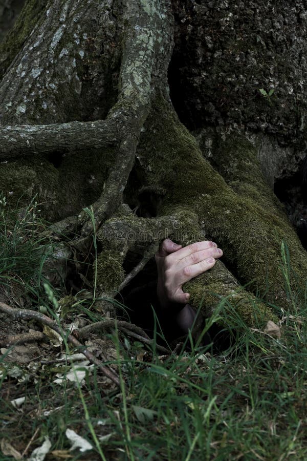 A Spooky Zombie Hand, Emerging from Under a Tree Stock Photo - Image of ...