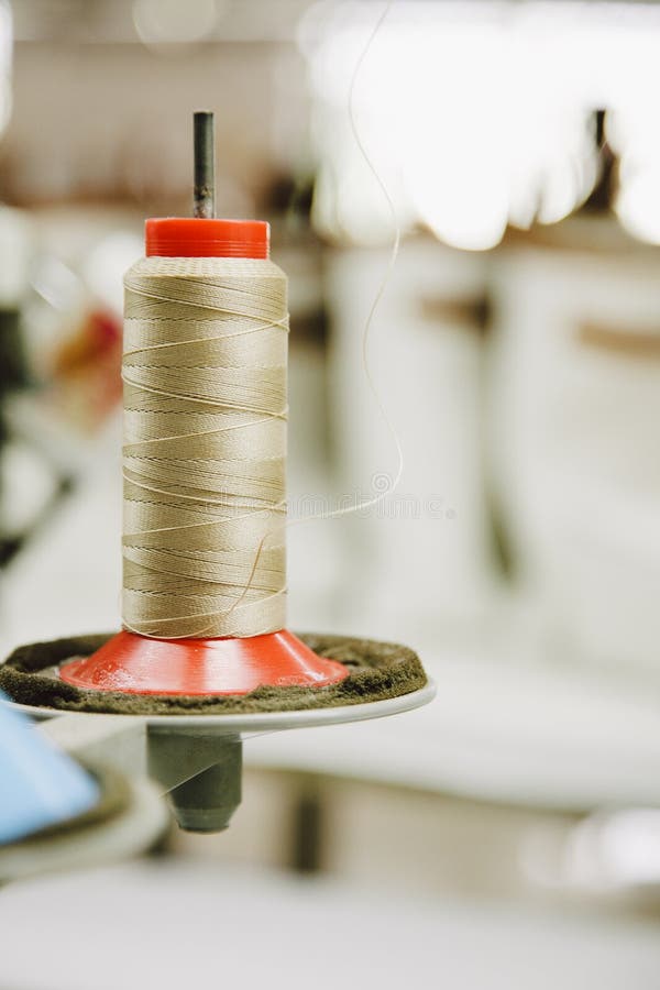 Spool of Thread stock photo. Image of clothing, leisure - 66979578