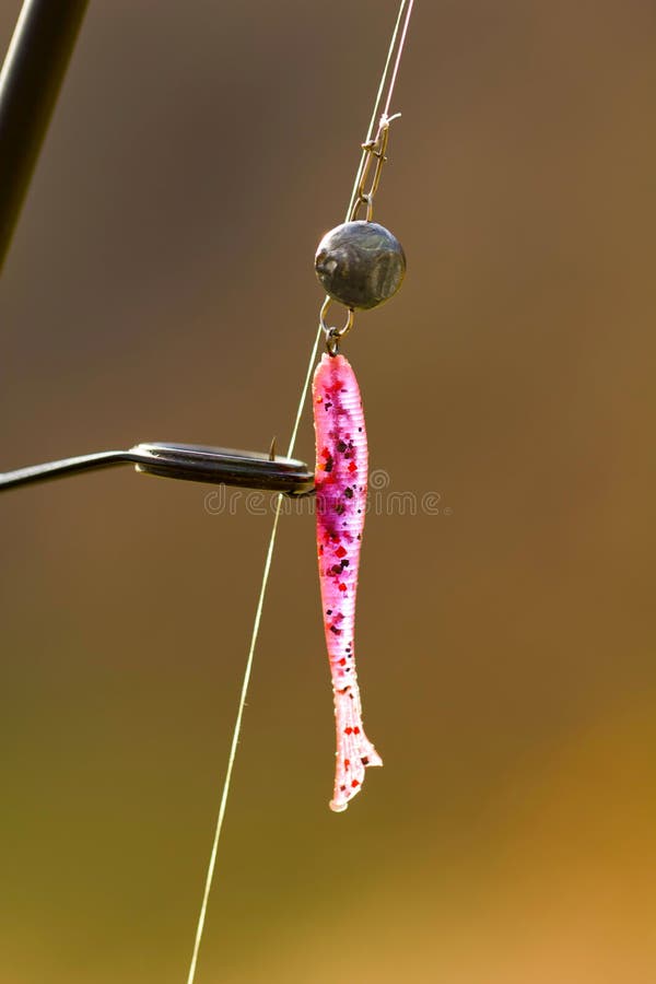 Spoon-bait stock photo. Image of aquarium, marine, exotic - 37344754