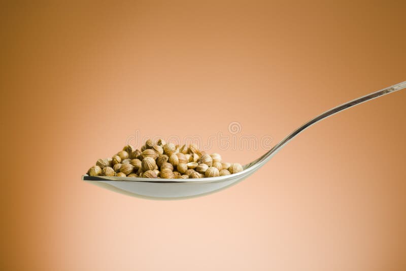 Spoon Filled With Coriander Seeds Stock Image - Image of grain, corn ...