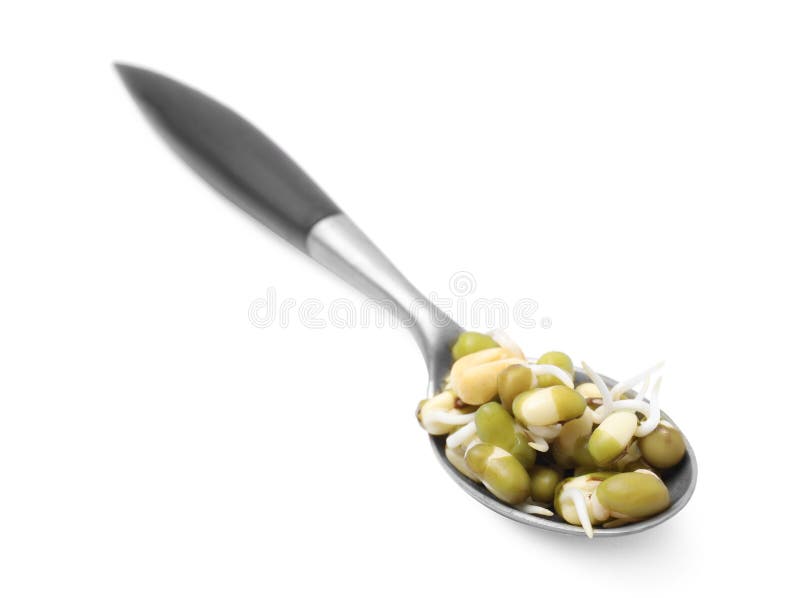 Spoon with Fresh Sprouted Mung Beans Isolated on White Stock Photo ...