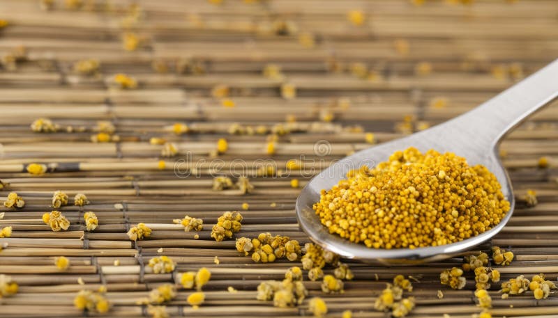 A Spoon Full of Yellow Seeds Stock Illustration - Illustration of seeds ...