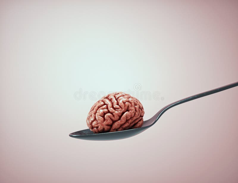 Spoon with a Human Brain. Self Care and Intelligence Concept Stock ...