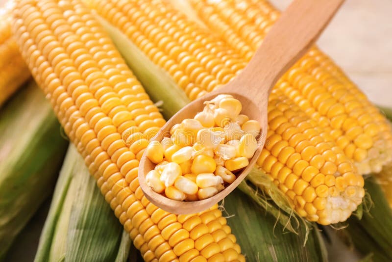 Kernels of Corn 3 stock image. Image of additive, kernel - 3438953