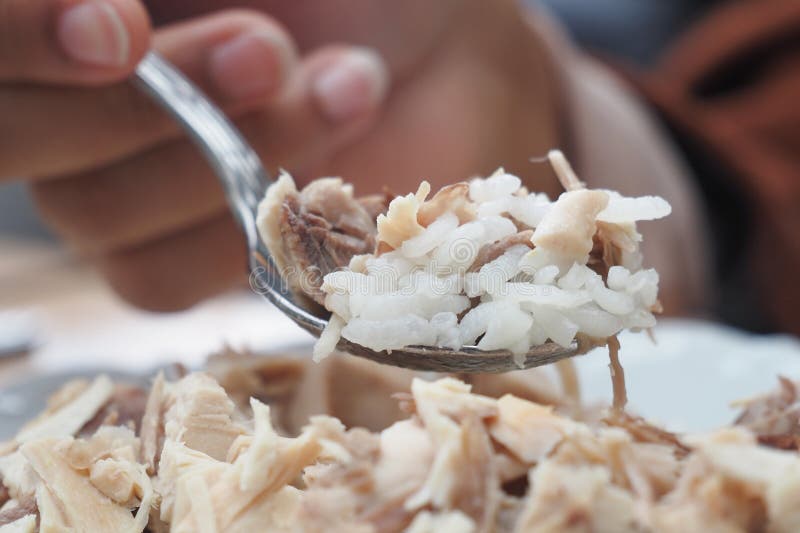 Spoon Pick Boiled Chicken and Steamed Rice Stock Image - Image of sauce ...