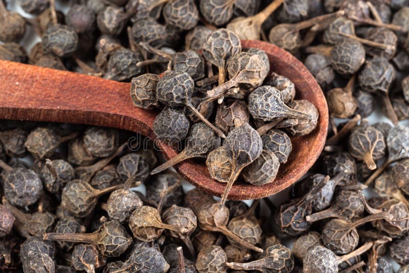 Cubeba Piper Seed Stock Photos - Free & Royalty-Free Stock Photos from ...