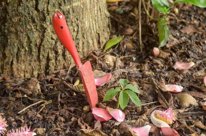 Spoon shoveling for dig stock photo. Image of global - 70779938