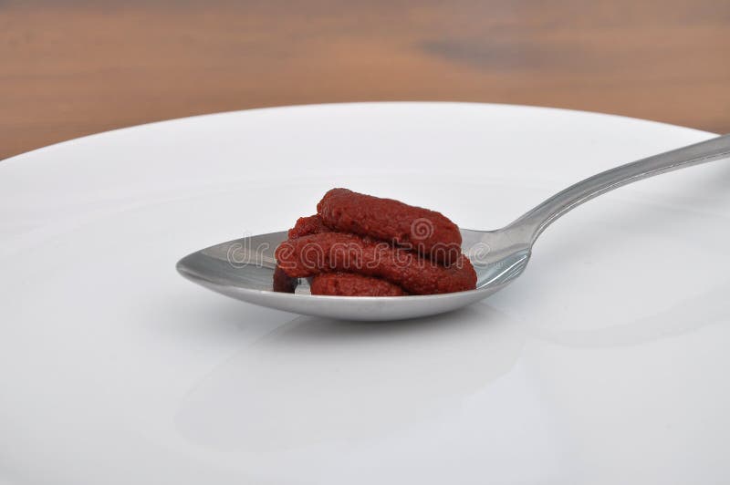 Spoon with tomato puree stock photo. Image of plate, porcelain - 55468306