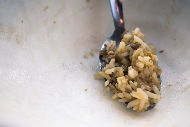 A Spoonful of Brown Cooked Rice. Stock Image - Image of white, health ...