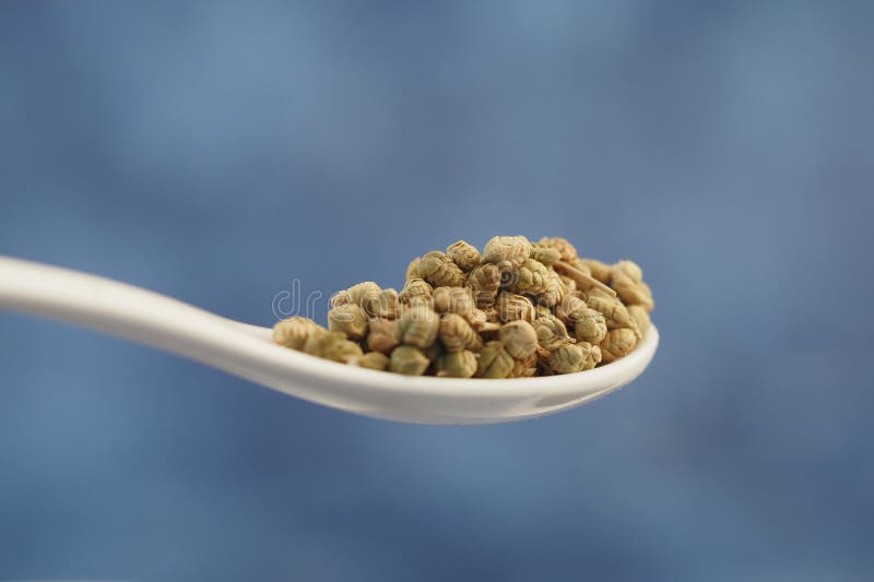 Spoonful of Tiny Green Seeds Against a Blue Background Stock Photo ...