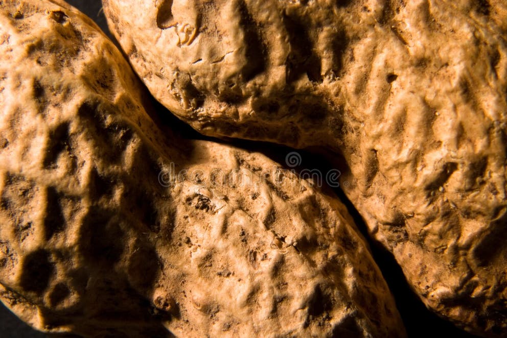 Spooning Peanuts in a Macro Photo Stock Photo - Image of ingredient ...