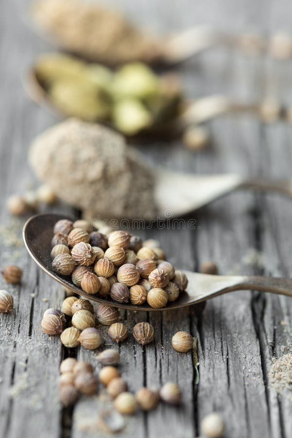 Spoons with Cardamom and Coriander Stock Image - Image of freshness ...