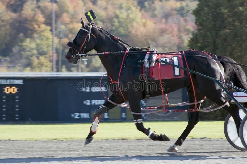 Spoor 2 van het ras stock foto. Image of lopen, sterkte - 1378378