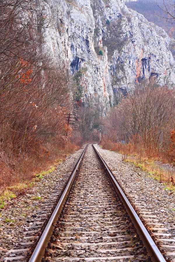 Spoorweg stock afbeelding. Image of trein, spoorweg, bomen - 17869861