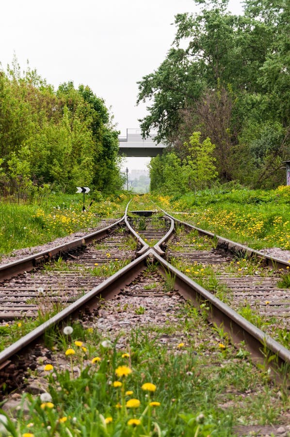 433,026 Spoorweg Foto's - gratis en royaltyvrije stockfoto's uit Dreamstime