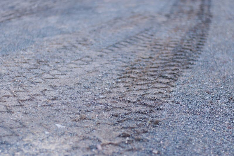 Sporen in de modder stock afbeelding. Image of bruin - 21958973