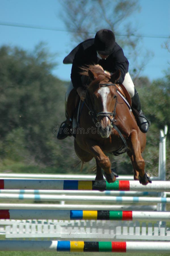 Le Cavalier Sautant Avec Le Cheval Photo stock - Image du sport ...