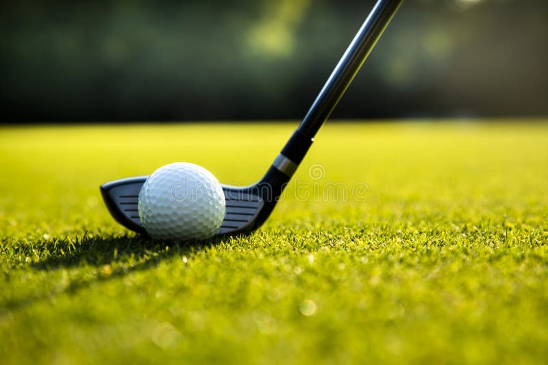 Sport and Lifestyle, Golf Player Playing in a Golf Club Stock Image ...