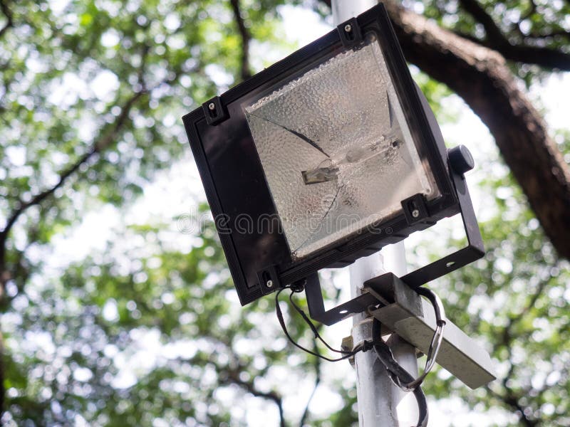 Sport Light Lamp Post Trees Background Stock Photos - Free & Royalty ...