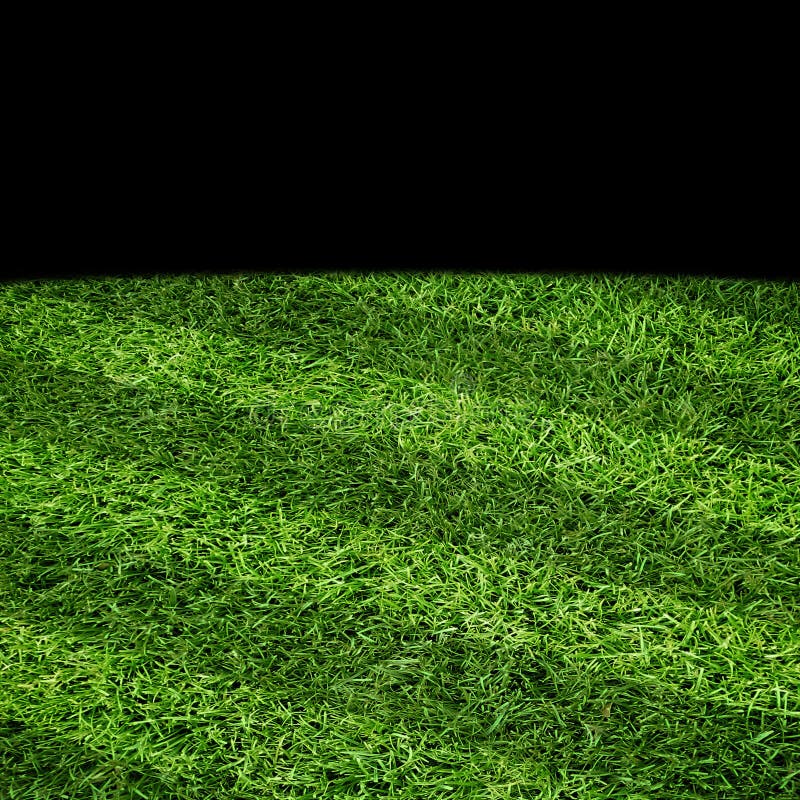 Sport lined grass field stock image. Image of football - 36921607