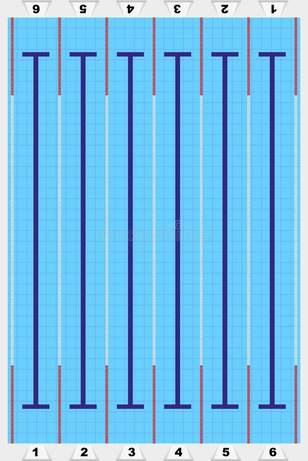 Olympic Swimming Pool Drawing