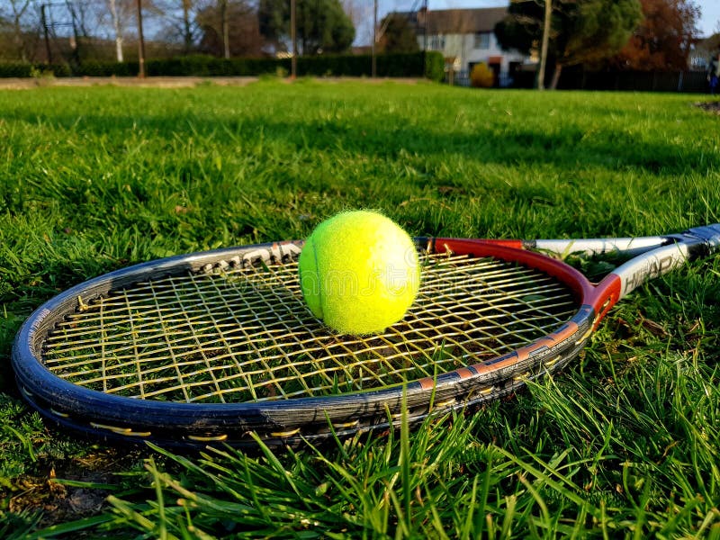 Sport time editorial photo. Image of runing, kids, rotterdam - 69823981