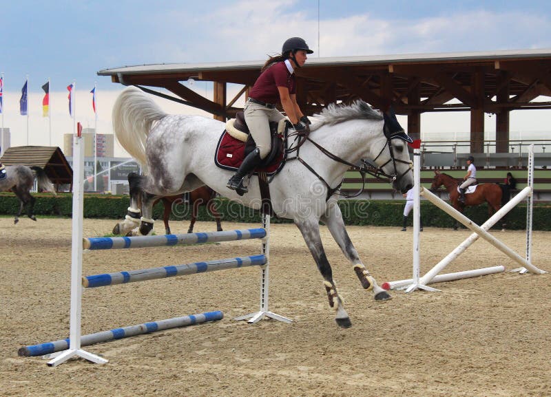 Sport - Zeigen Sie Springendes Training - Schimmelsspringen ...