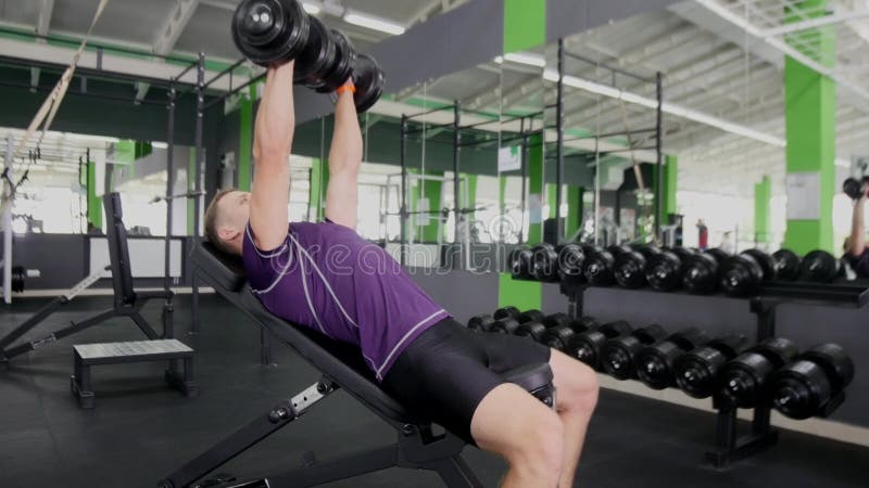 Sports Bodybuilder Young Man Hard Training Muscles Workout in Gym Stock ...