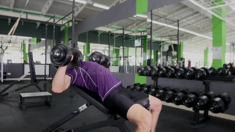 Sports Bodybuilder Young Man Hard Training Muscles Workout in Gym Stock ...