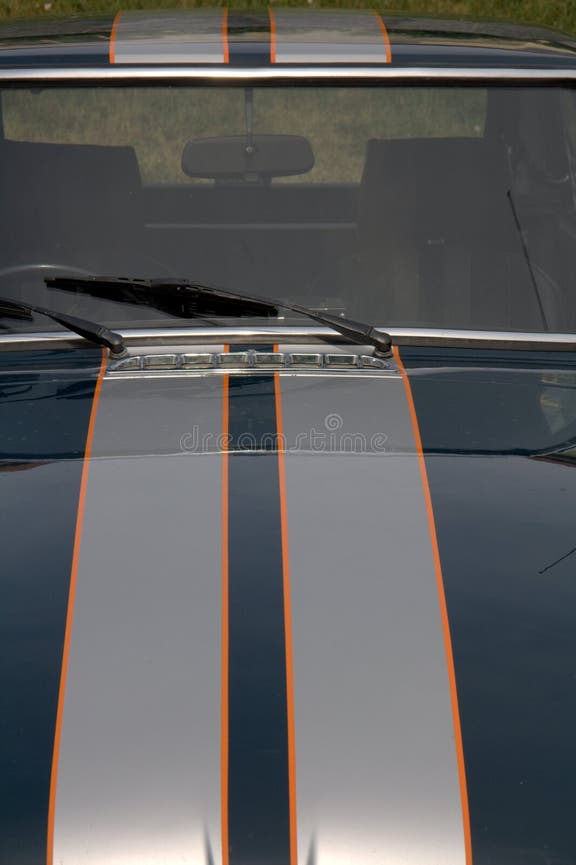 1,856 Racing Stripes Flies Stock Photos - Free & Royalty-Free Stock ...