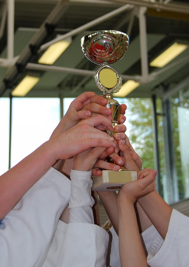 Sports Cup stock image. Image of judo, sports, medals - 46706743