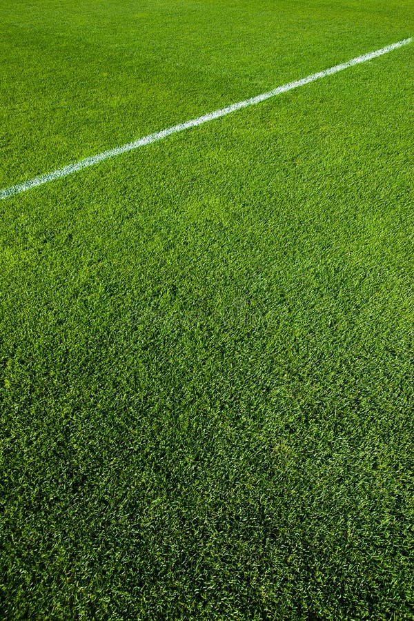 Sports Field stock photo. Image of competitive, leisure - 37877742