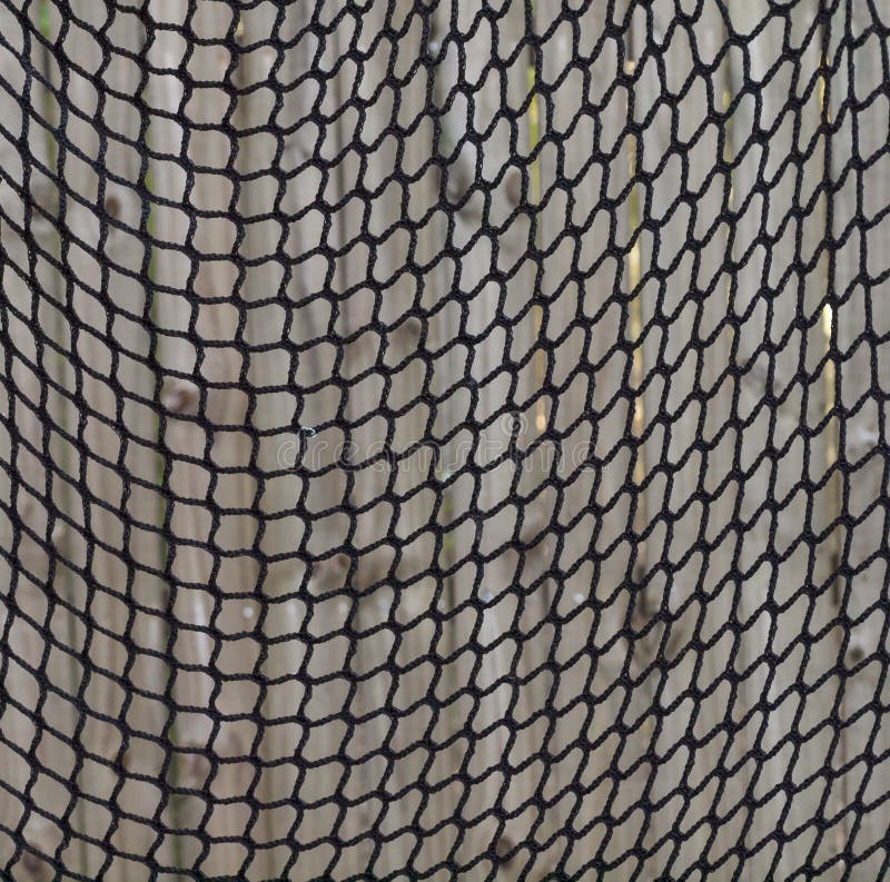 Sports netting stock image. Image of stretched, pattern - 63832695