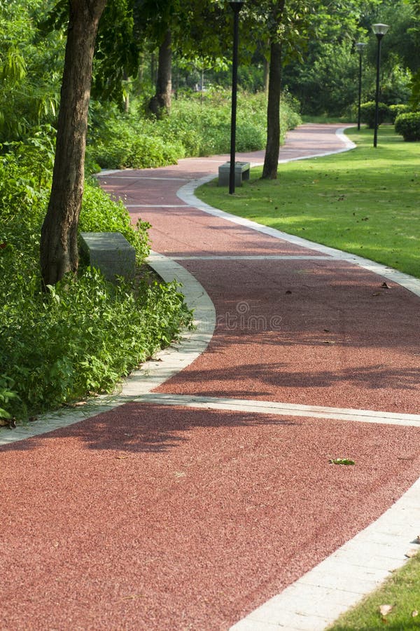 Sports path stock photo. Image of sport, garden, path - 19704510