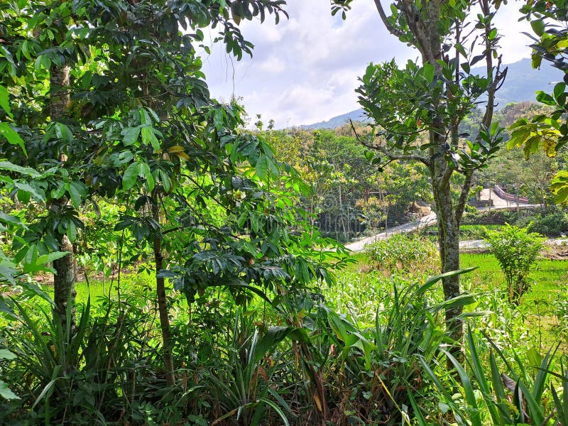 Sports To the Beaty of Nature without Editing Stock Image - Image of ...