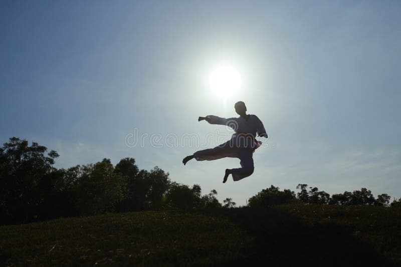 Sportswoman Practicing Jump Kick Stock Image - Image of outdoor, woman ...