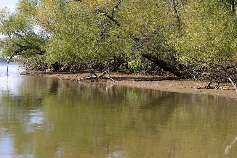 This Will Be a Perfect Spot for Fishing. Stock Image - Image of fish ...