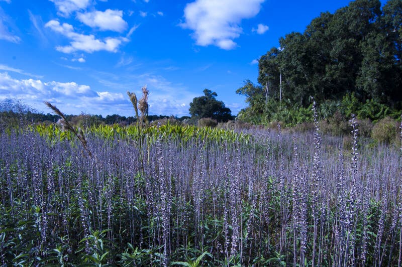The Spot: 03 stock photo. Image of central, blue, hard - 53547034
