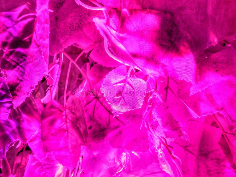 Spotlight on Fabric Decorations Stock Image - Image of sorotan, fabric ...