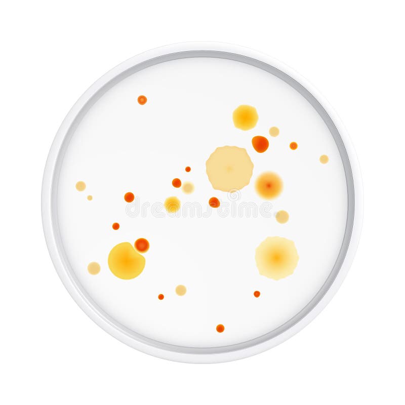 Spots Mold Fungus Composition Stock Vector - Illustration of ...