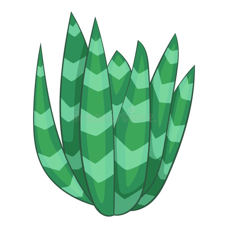 Spotted Agave Icon, Cartoon Style Stock Vector - Illustration of summer ...