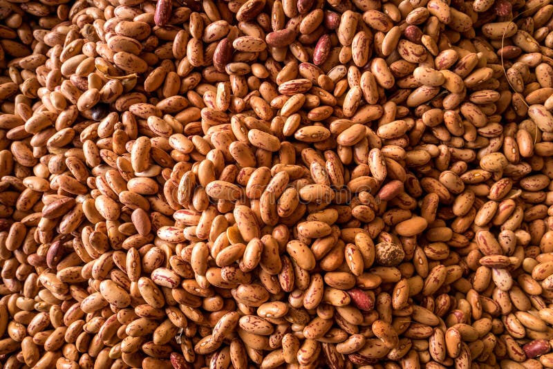 Spotted beans stock image. Image of grain, nature, assortment - 23800469