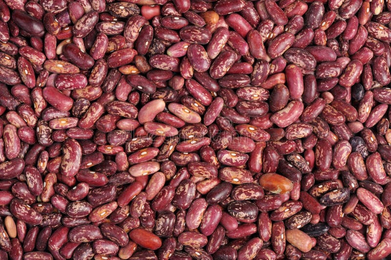 Spotted beans stock image. Image of grain, nature, assortment - 23800469