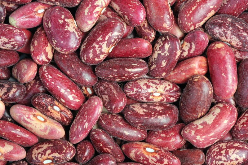 Spotted beans stock image. Image of grain, nature, assortment - 23800469
