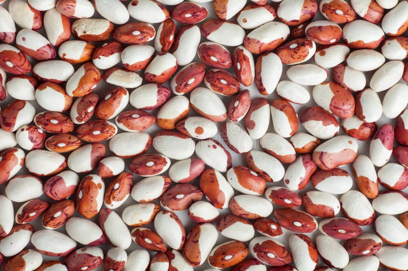 Spotted Beans Top View Backround Stock Image - Image of bean, legume ...