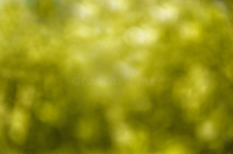 Spotted Blurred Abstract Background. Yellow Green Color. Stock ...