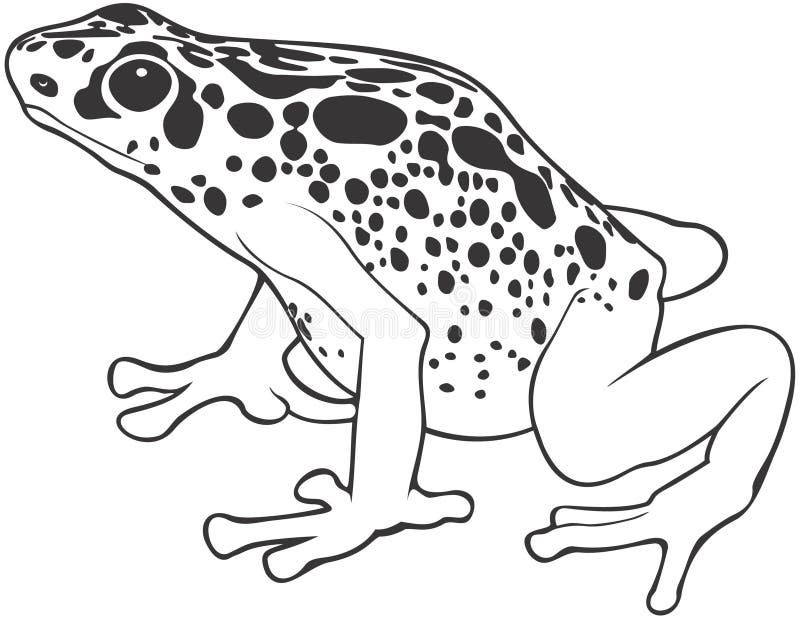 Spotted frog stock vector. Illustration of clipart, fauna - 1410191